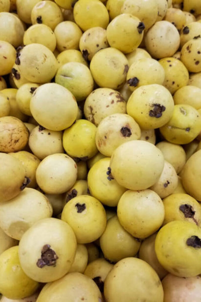 Guava – Golden Life